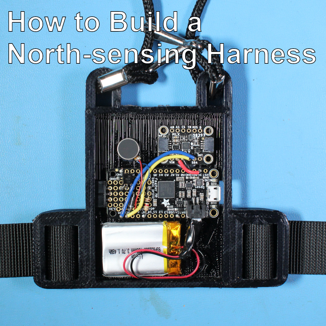 Can you improve your sense of direction with technology?