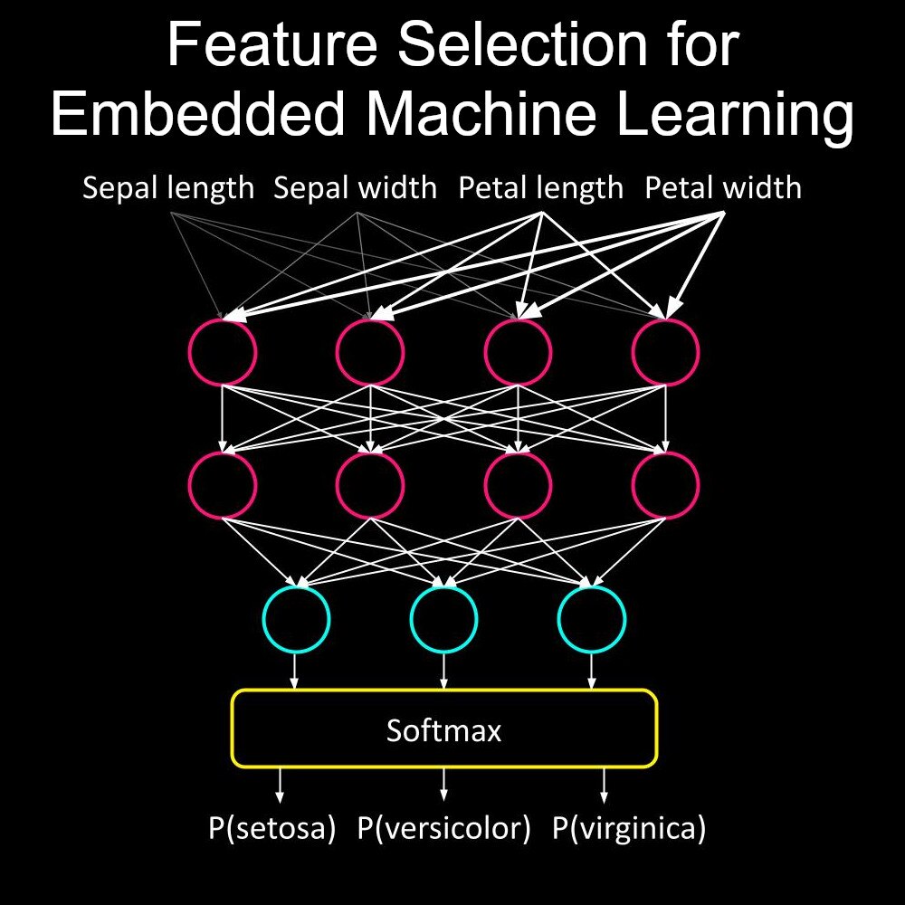 Feature selection with correlation and L1 regularization for embedded machine learning