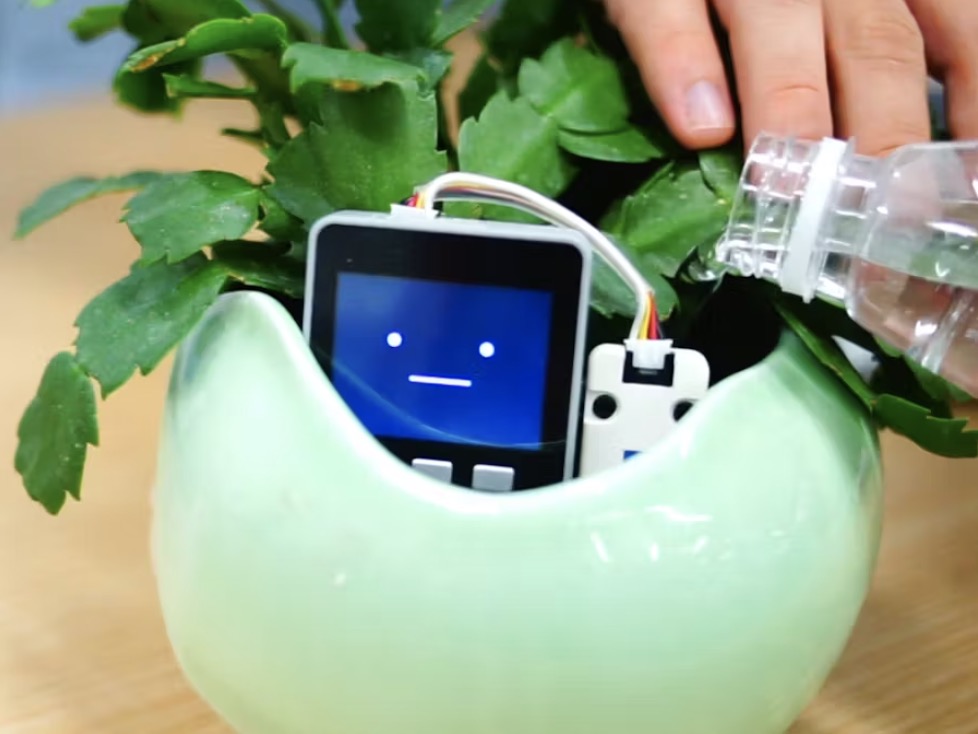 Do Plants Have Feelings?